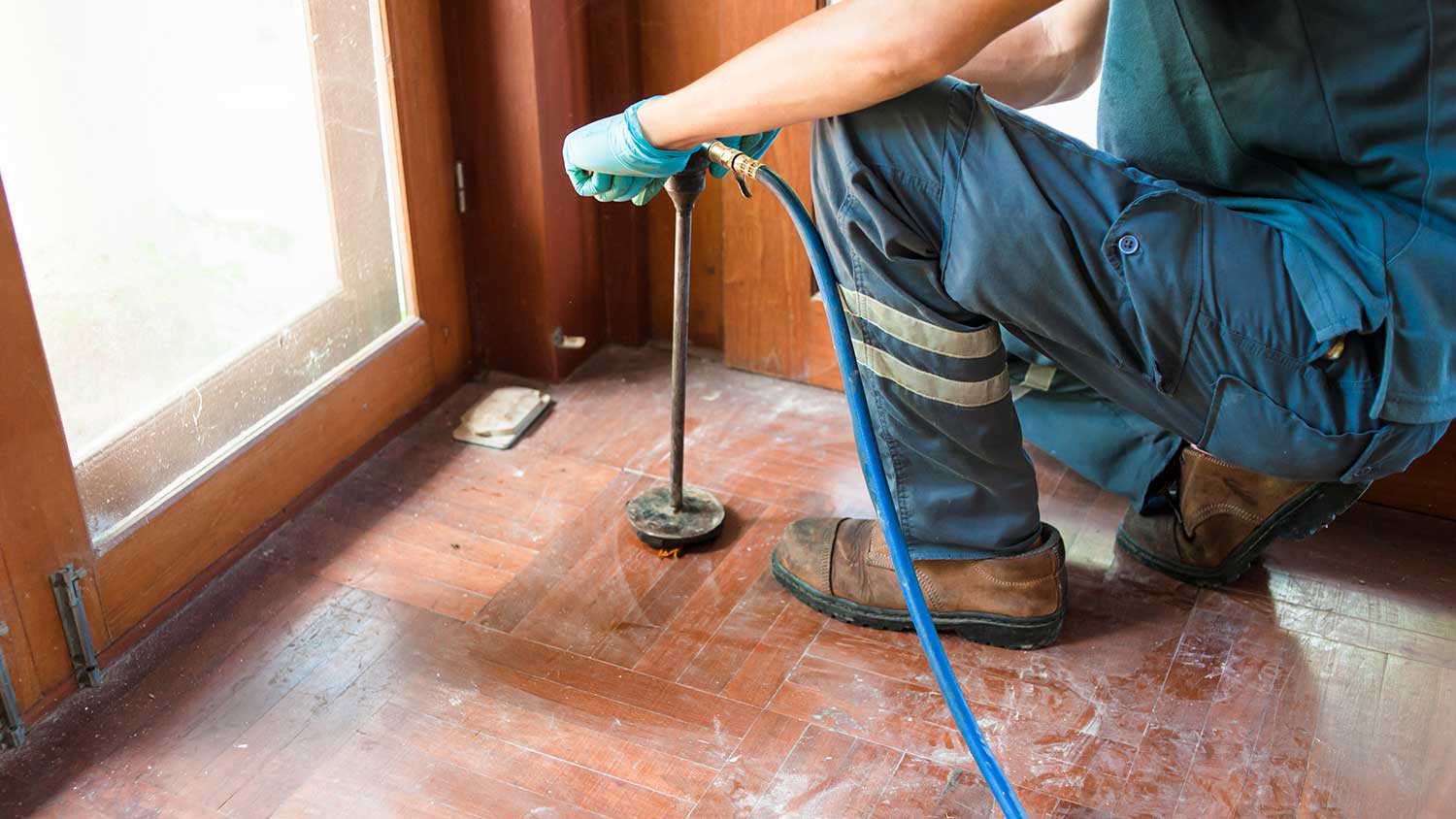 Here's How Long Termite Treatment Lasts