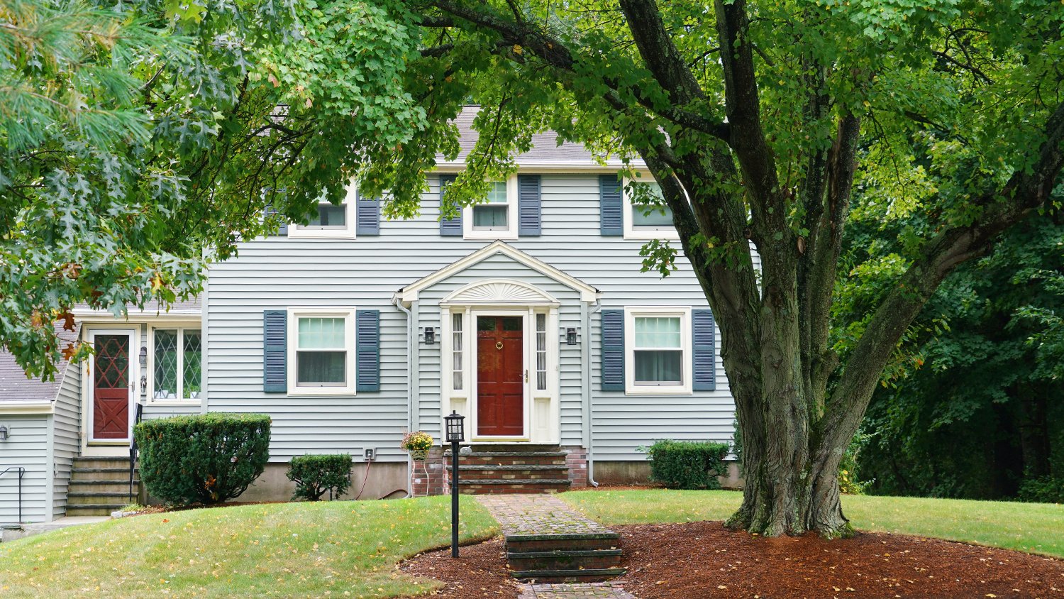 How To Protect Your Trees During Construction | Angi